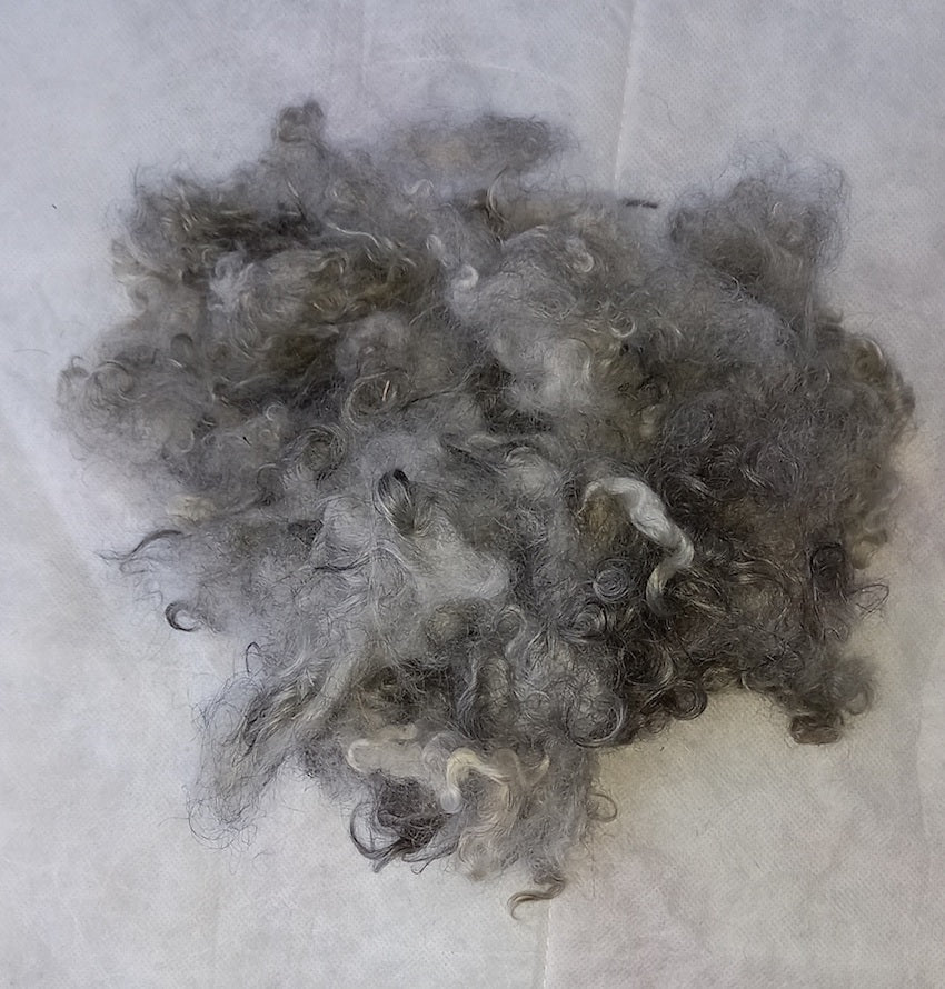 Natural Fleece, Autumn and Spring shear – Felsted Fleece