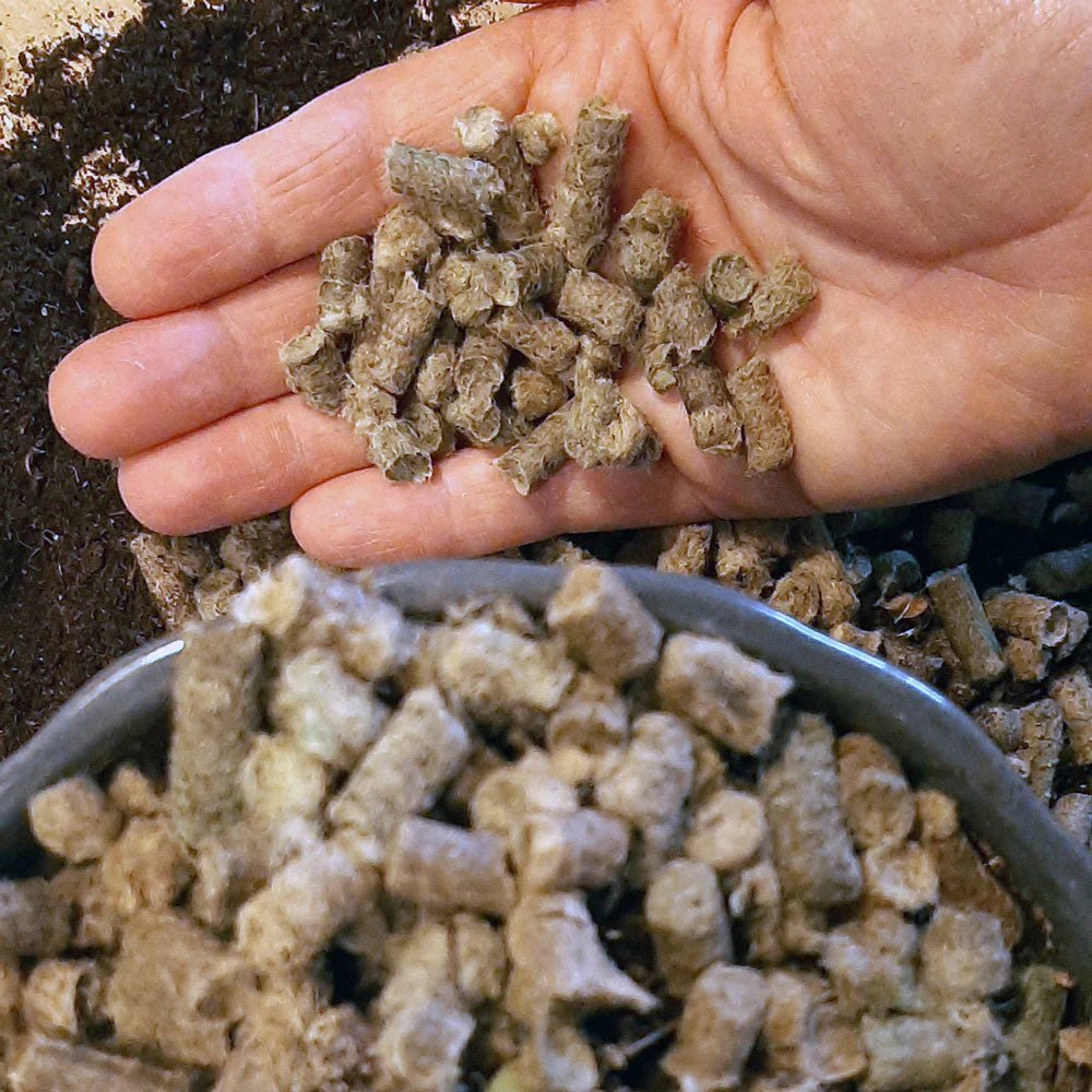 Wool Pellets – Felsted Fleece